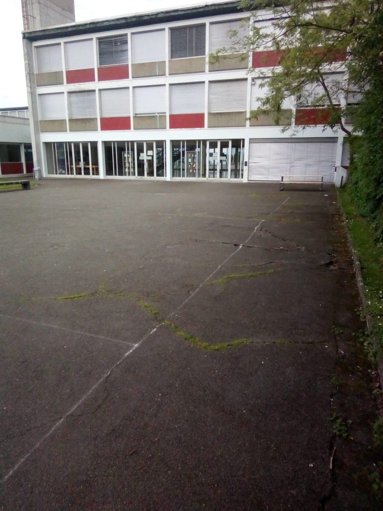 CO Renard : l’UDC protège la sécurité et le bien-être de nos enfants ...