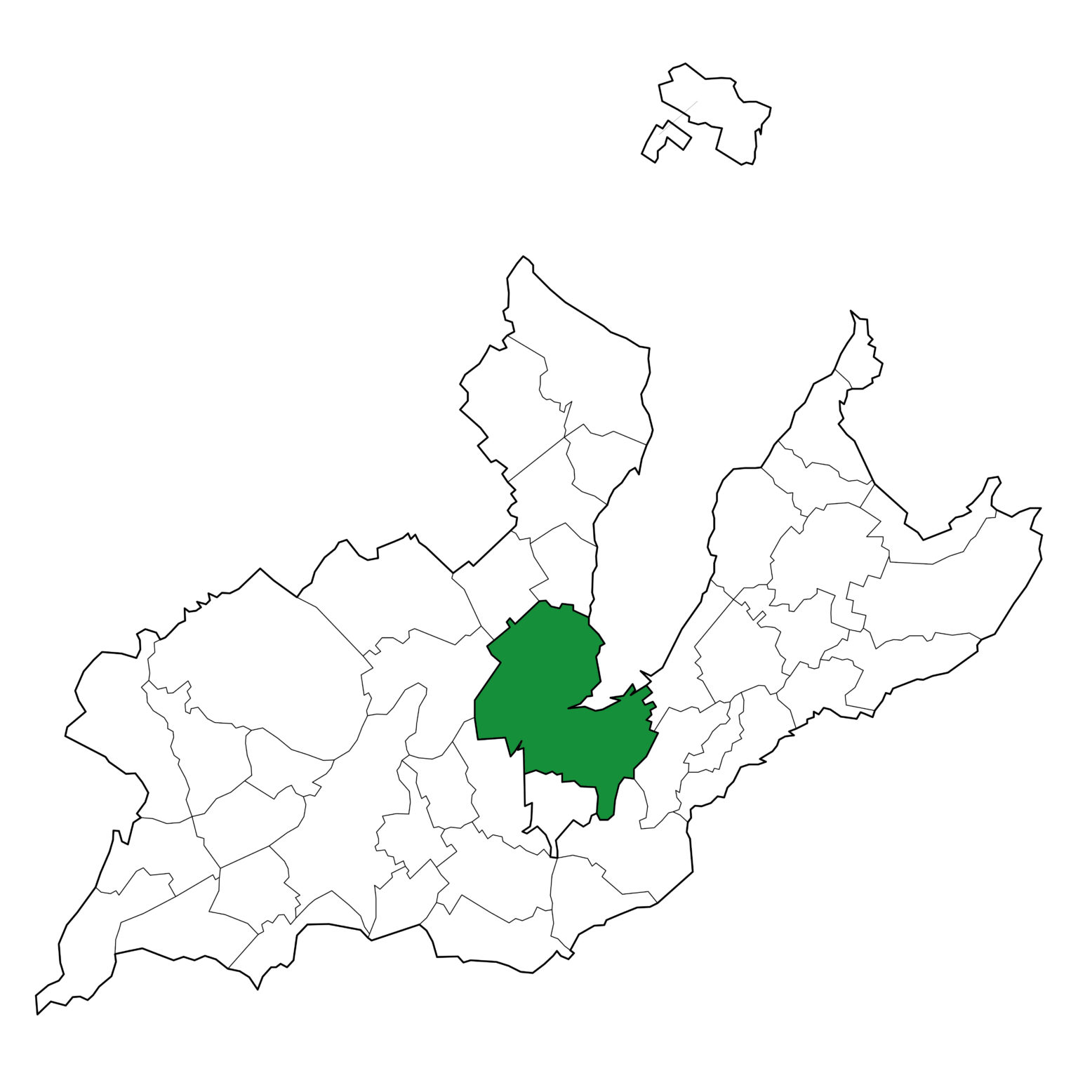 Parti - UDC Genève